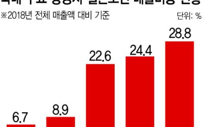 바닥 찍은 항공株, 내년 '부활' 기지개 켜나…FSC·LCC 희비 : ZUM 뉴스