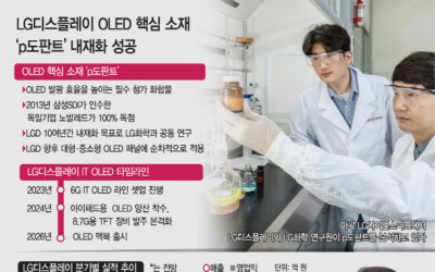정호영 LGD 사장, '금보다 비싼' OLED 소재 국산화…'흑전' 청신호 : ZUM 뉴스