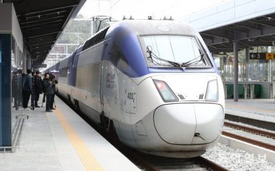 탈선 사고 4일만에 또 멈춘 KTX…상·하행선 40분 지연 : ZUM 뉴스