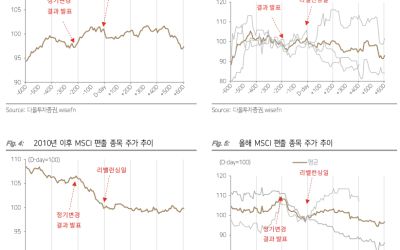 “3수생 금양, 11월 MSCI 지수 충분히 편입…포스코DX·현대오토에버 포함” : ZUM 뉴스