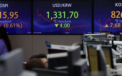 정부가 띄운 저PBR에 금융 ETF '활짝' : ZUM 뉴스