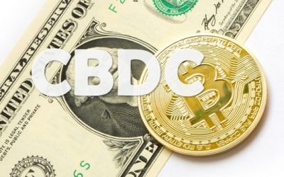 美 하원의원, CBDC 금지 법안 재도입 : ZUM 뉴스