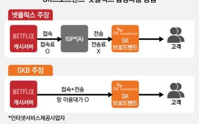 '접속과 전송 달라'…넷플릭스-SKB 망사용료 개념 논쟁 : ZUM 뉴스