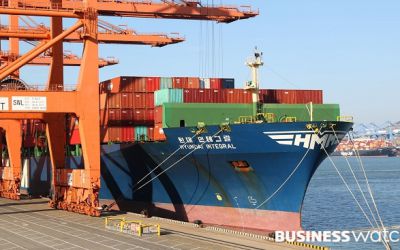 HMM, 기꺼이 '선박 돌려막기' 나선 이유 : ZUM 뉴스