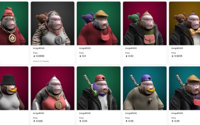 메타콩즈의 위기…내부 총질에 국내 대표 NFT 휘청 : ZUM 뉴스