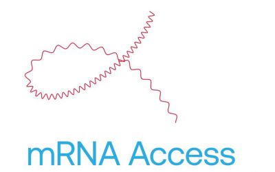 모더나, 고려대·조선대와 mRNA 연구…"감염 질환 대응" : ZUM 뉴스