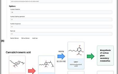 '천연물 합성 경로 예측'…KAIST, 기술 개발해 공개 : ZUM 뉴스