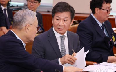 배현진 "정몽규, 천안축구센터 건설에 HDC 직원 파견해 장악" : ZUM 뉴스