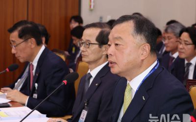 HUG 사장 "부산 전세사기 임대보증 취소건, 판결 확정 전 번복 어려워"(종합) : ZUM 뉴스