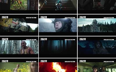 그 좀비 또 달려 '28일 후' 이어 '28년 후' 내년에 : ZUM 뉴스
