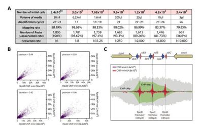 UNIST·고려대, DNA-단백질 결합 부위 추출 최적화 기술 개발 : ZUM 뉴스