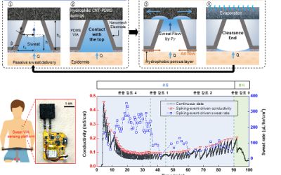 Researchers develop power-saving wearable sweat sensor patch : ZUM 뉴스