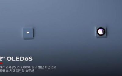 움트는 XR 시장…삼성D·LGD, OLEDoS 기술력 채비 : ZUM 뉴스