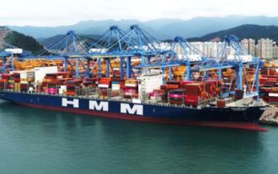 HMM, 홍해 사태에 유럽행 임시선박 4척 긴급 투입 : ZUM 뉴스