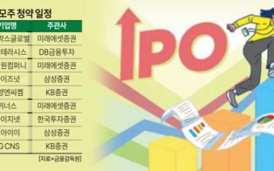 얼어붙은 투자심리 녹일까…대어 LG CNS 등 9곳 IPO 출격 : ZUM 뉴스