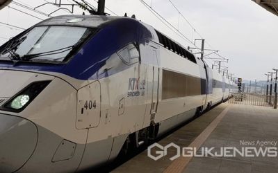 천안아산역 KTX 사망 사고로 SRT등 열차 최대 2시간 지연 : ZUM 뉴스