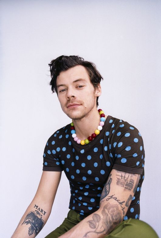 해리 스타일스, 내년 3월 첫 내한 공연 확정 [공식] : ZUM 뉴스