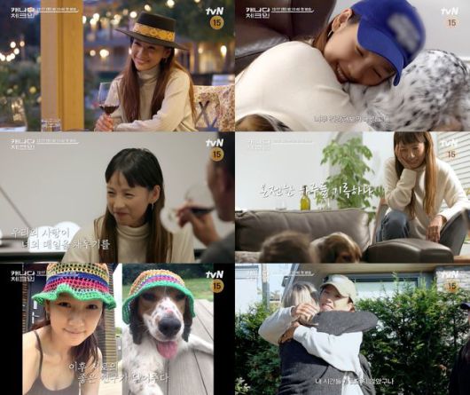 이효리, 쓰레기통서 유기견 구조.."'캐나다 체크인'=내 생애 가장 특별한 촬영" : ZUM 뉴스