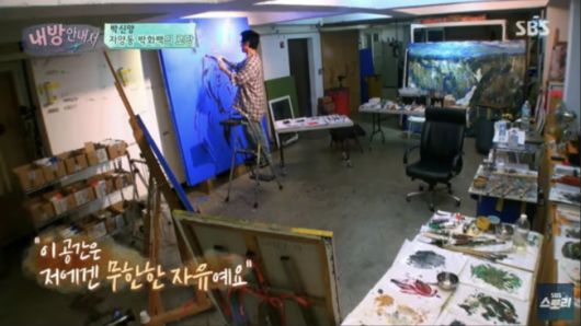 “방송 안 나오고 뭐해?” 박신양→AOA 유나, 제2의 직업 찾은 스타 [Oh!쎈 이슈] : ZUM 뉴스