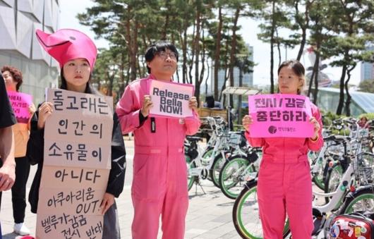 “날 쳐다봤어 안녕” 귀여운 돌고래…사실 화내는 거라니 [지구 뭐래] Zum 뉴스
