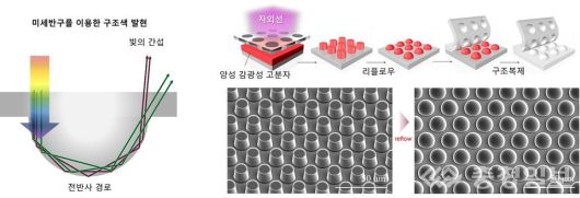 KAIST, 무색소 초정밀 컬러 기술 개발…일월오봉도 재현 : ZUM 뉴스