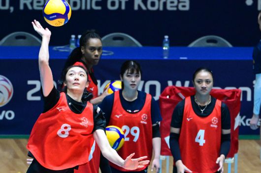 'V-리그 화두' 자유계약제 논의될까…KOVO, 18일 이사회 개최 : ZUM 뉴스