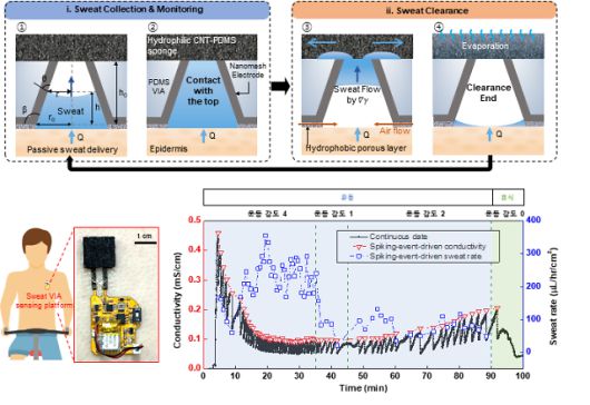 Researchers develop power-saving wearable sweat sensor patch : ZUM 뉴스