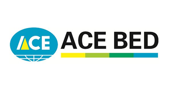 Ace Bed posts improved 2024 earnings on premium demand : zum 뉴스