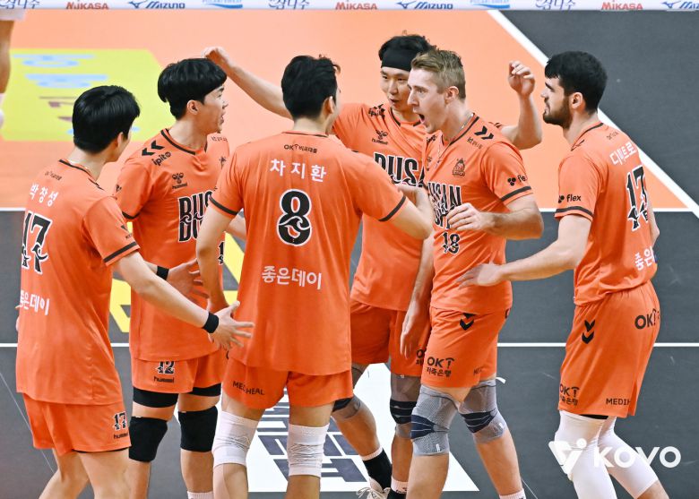 OK저축, 삼성화재 3-0 완파…신영철 감독 V리그 최초 300승 달성 : zum 뉴스